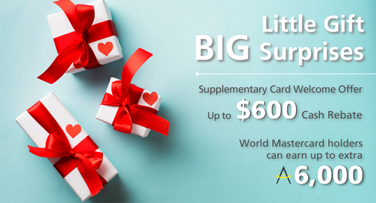 BEA Supplementary Card